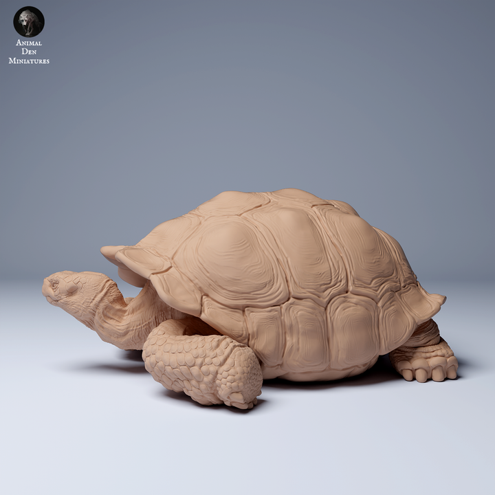 3D Printable Galápagos giant tortoise Lying by Animal Den Miniatures