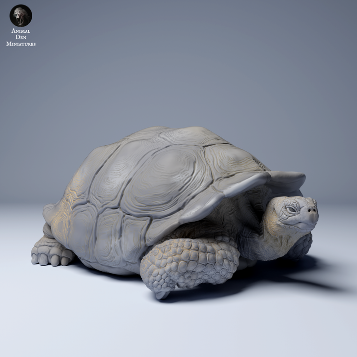 3D Printable Galápagos giant tortoise Lying by Animal Den Miniatures