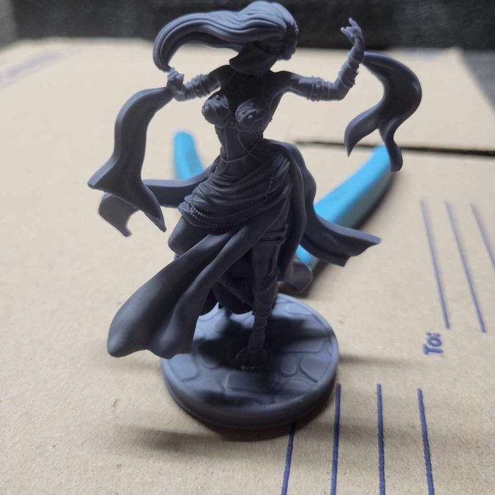 3D Printable Dancer Assassin Lirael - Dancer Assassin - 75mm by Ravi ...