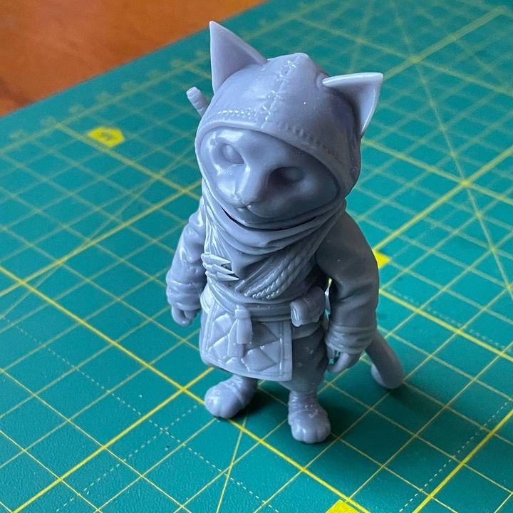 3D Printable Ninja Cat with Katana by Grass Hopper