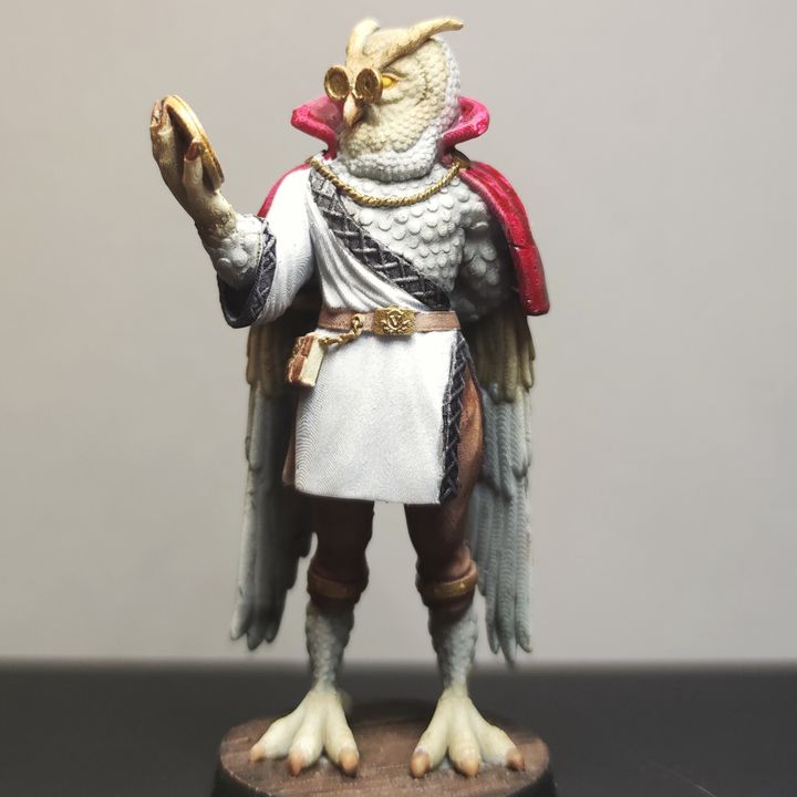3D Print of Dr. Cornelius Sternfield, Owkin Mage by shadowcastform