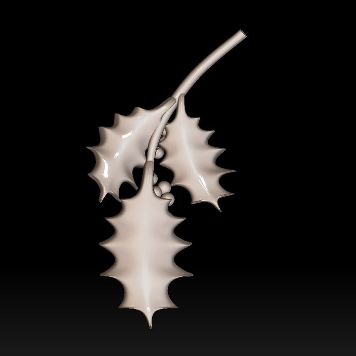 3D Printable holly by Dmitry Tishchenkov