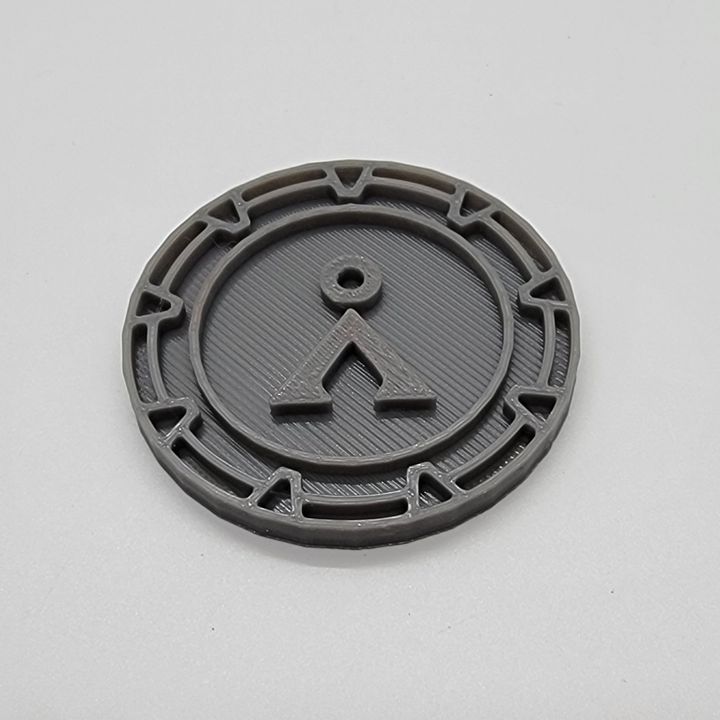 3D Printable Determination Point Chips and Holder by Schnell