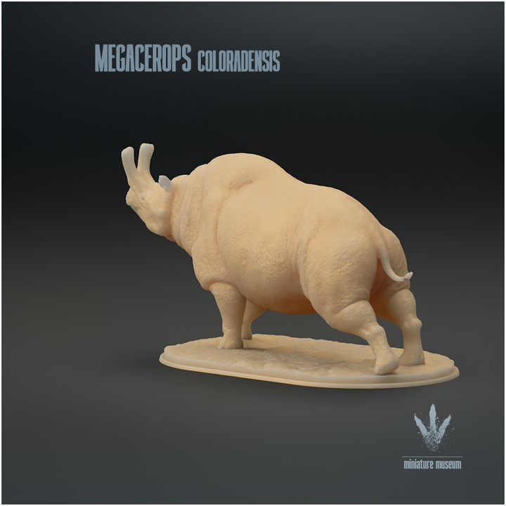 3D Printable Megacerops coloradensis : The Large-horned Face by ...