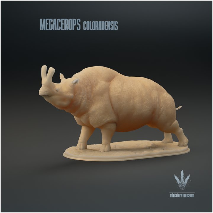 3D Printable Megacerops coloradensis : The Large-horned Face by ...
