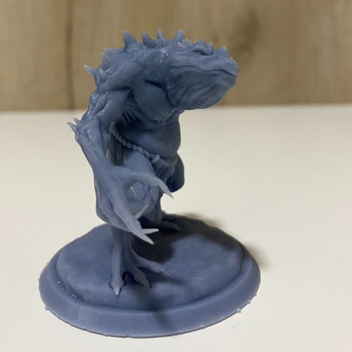 3D Printable Slaad Dnd miniature, 2 inch base pre-supported by Vulcan ...