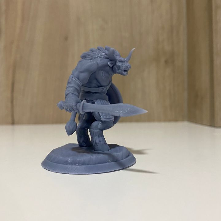 3D Printable Minotaur gladiators - dnd miniatures, two variations ...