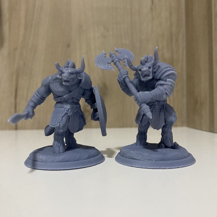 3D Printable Minotaur gladiators - dnd miniatures, two variations ...