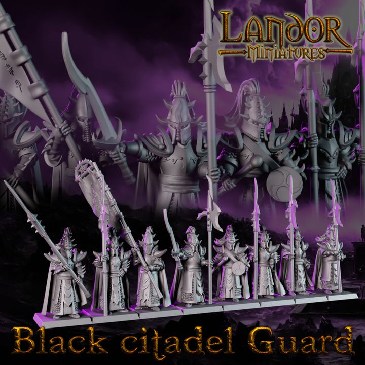 3D Printable Black Citadel Guard by Landor Miniatures