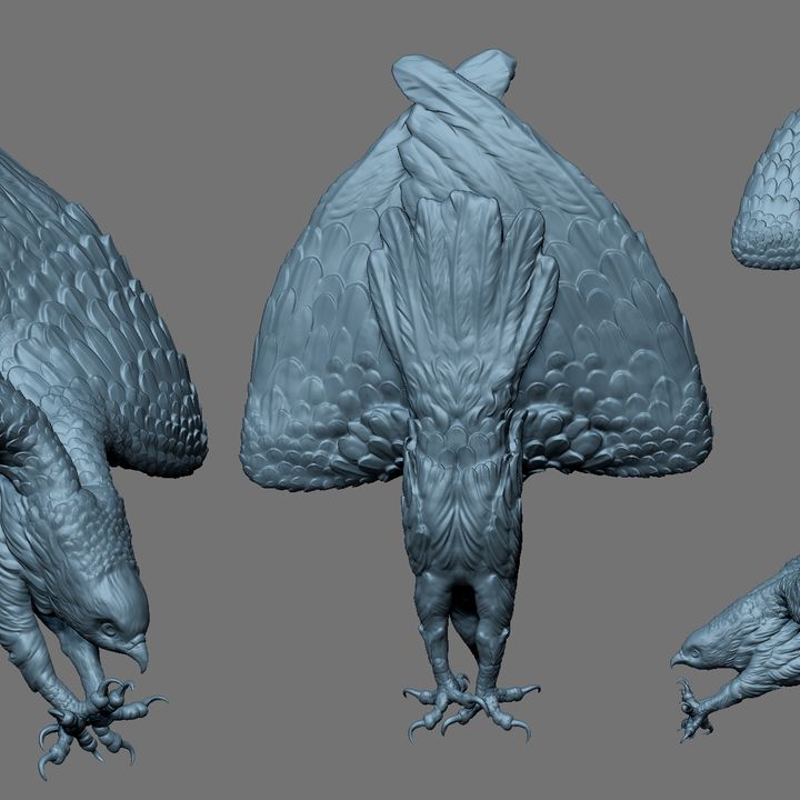 3D Printable Hawk Osprey by Art of V