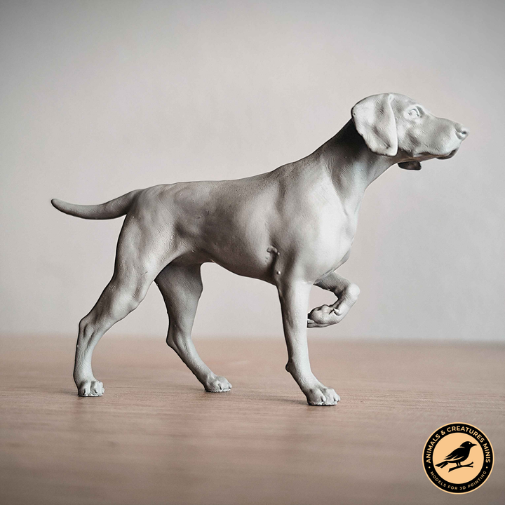 3D Printable German Shorthaired Pointer by Animals & Creatures Minis