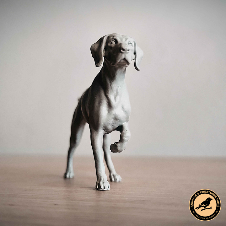3D Printable German Shorthaired Pointer by Animals & Creatures Minis