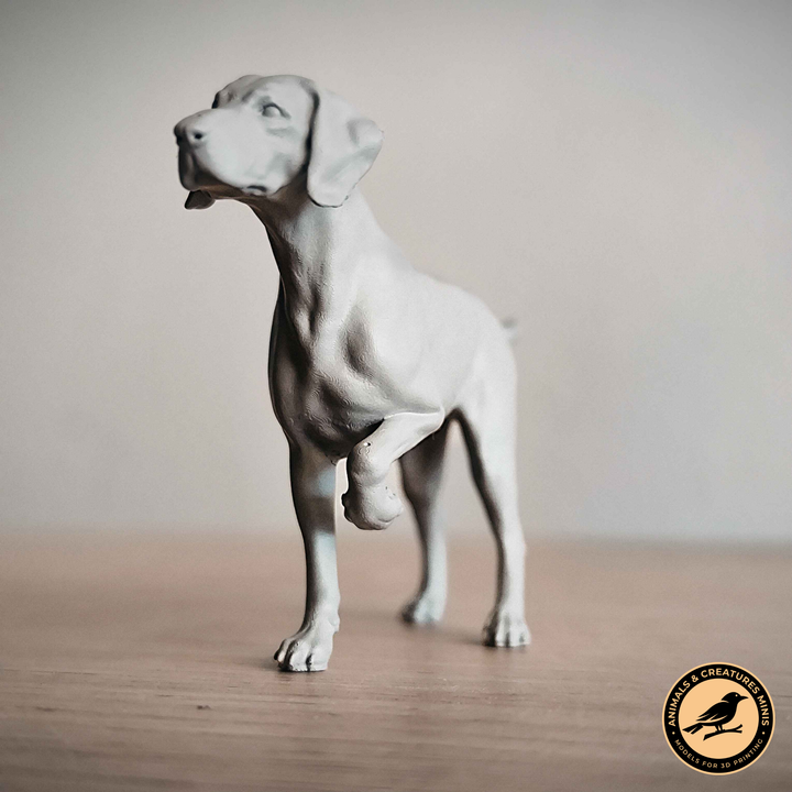 3D Printable German Shorthaired Pointer by Animals & Creatures Minis
