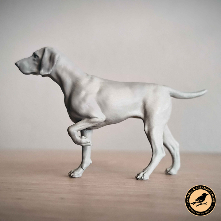 3D Printable German Shorthaired Pointer by Animals & Creatures Minis