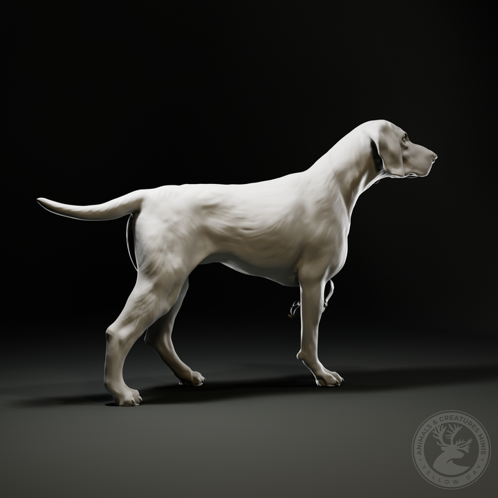 3D Printable German Shorthaired Pointer by Animals & Creatures Minis