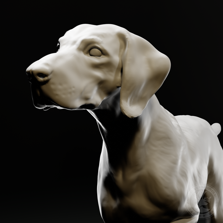 3D Printable German Shorthaired Pointer by Animals & Creatures Minis