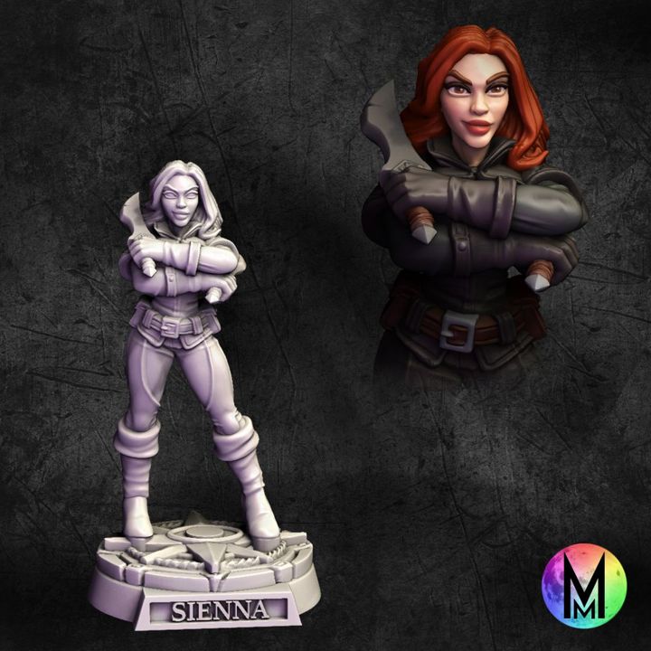 3D Printable Female Rogue - Sienna the Female Rogue / thief ( Female ...
