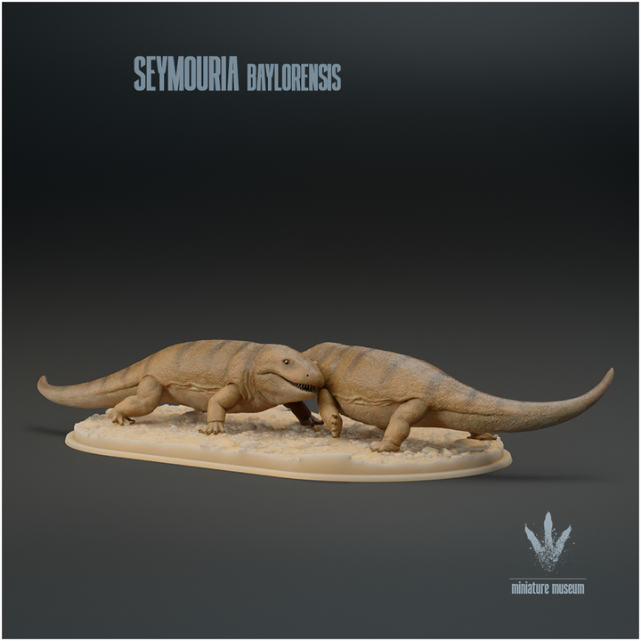 3D Printable Seymouria baylorensis : Tambach Lovers by Miniature Museum