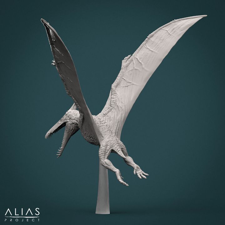 3D Printable Pteranodon by ALIAS PROJECT