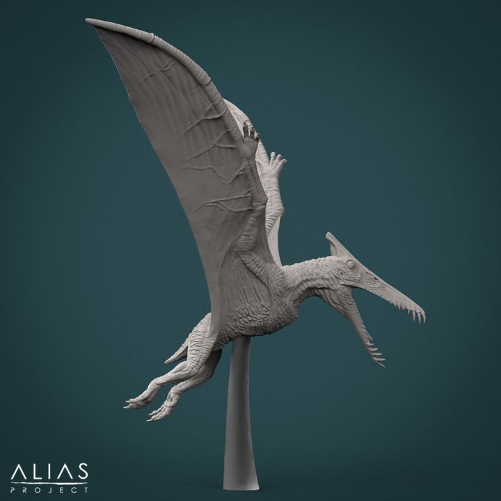 3D Printable Pteranodon by ALIAS PROJECT