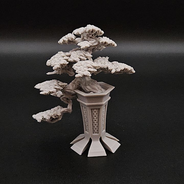 3D Printable bonsai 3 by Figures3d