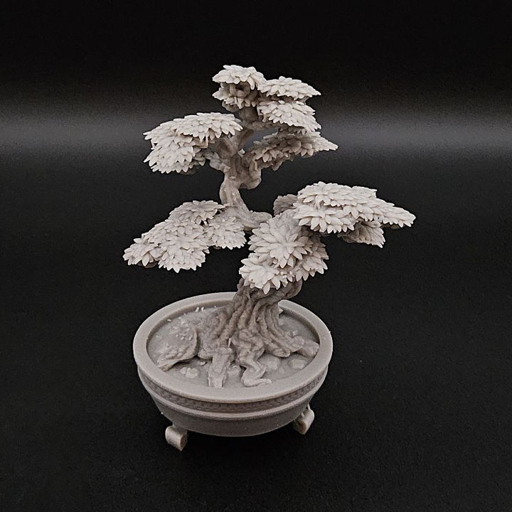 3D Printable Bonsai 4 by Figures3d