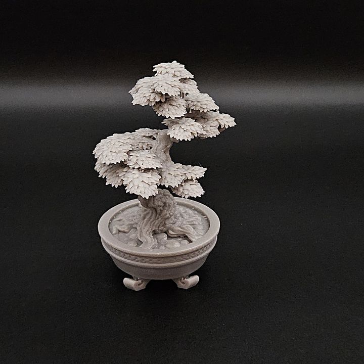 3D Printable Bonsai 4 by Figures3d