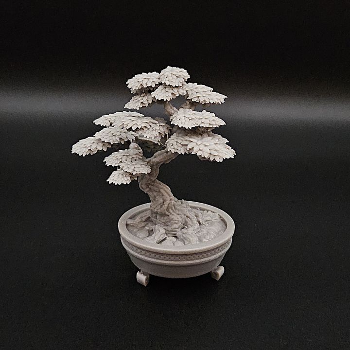 3D Printable Bonsai 4 by Figures3d