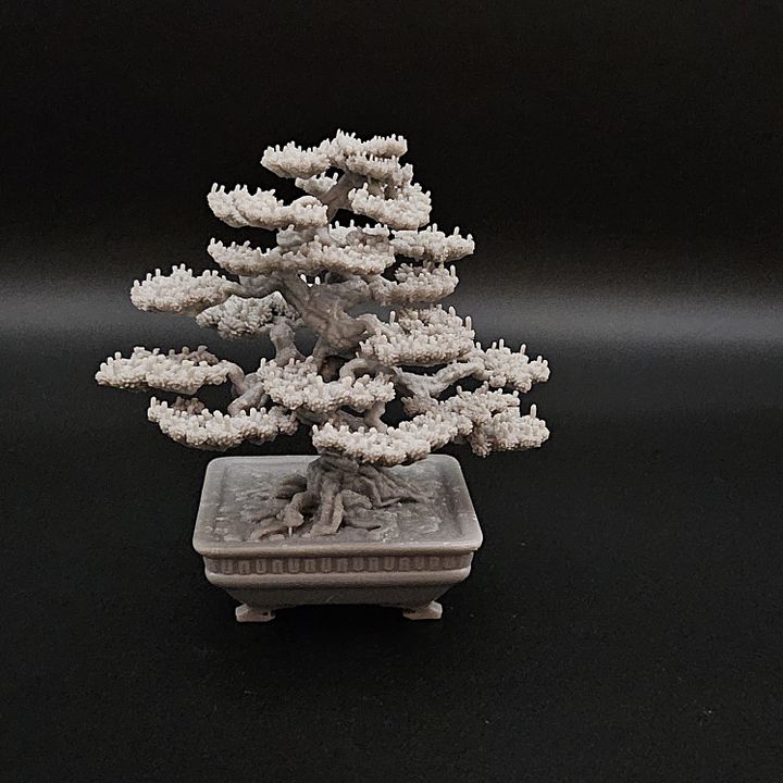 3D Printable Bonsai 5 by Figures3d