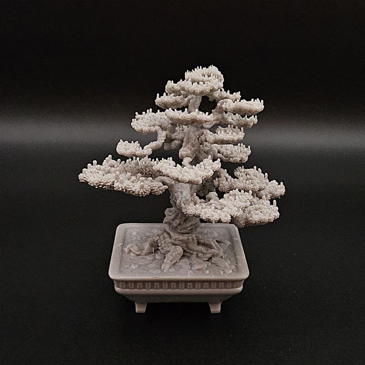 3D Printable Bonsai 5 by Figures3d