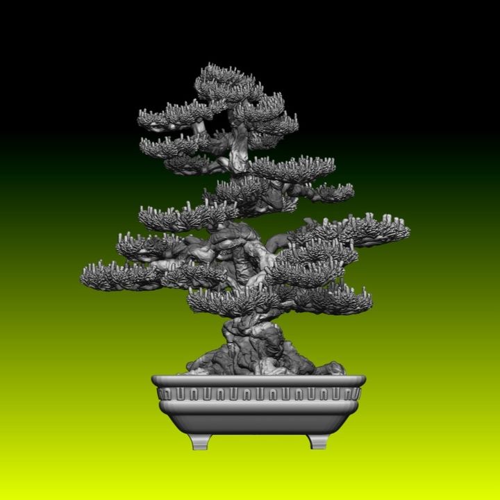 3D Printable Bonsai 5 by Figures3d