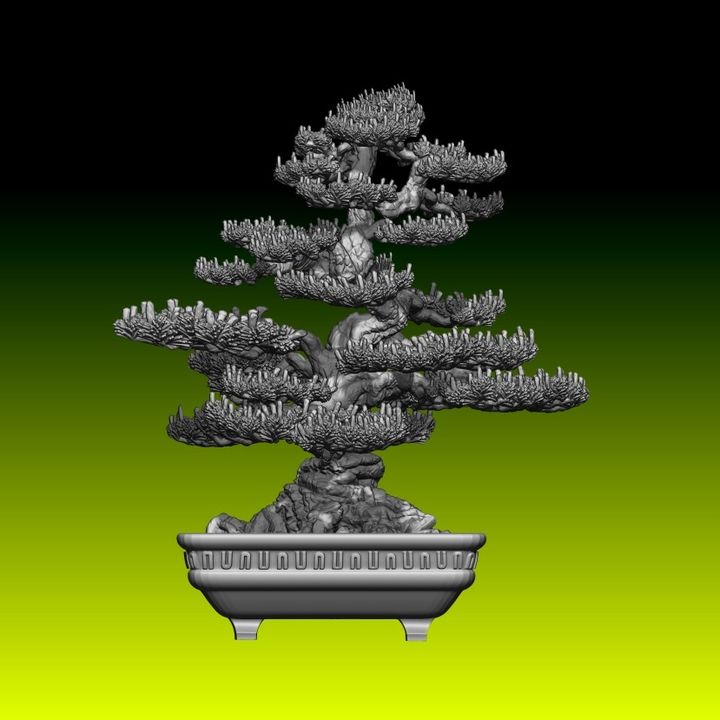3D Printable Bonsai 5 by Figures3d