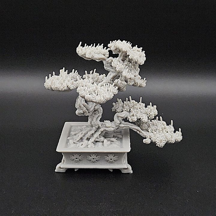 3D Printable Bonsai 6 by Figures3d