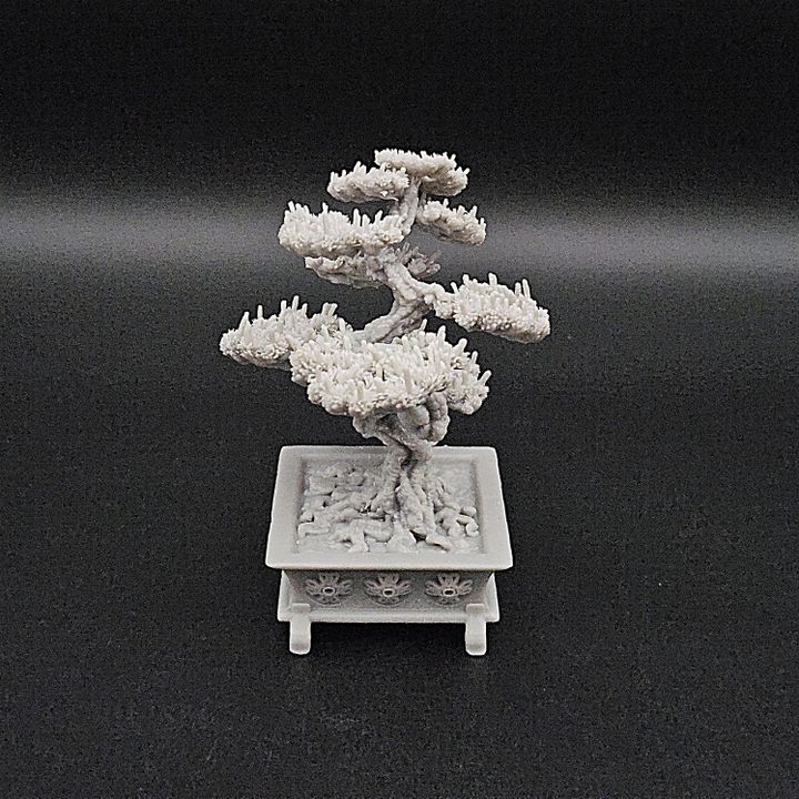 3D Printable Bonsai 6 by Figures3d