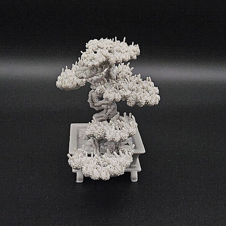 3D Printable Bonsai 6 by Figures3d