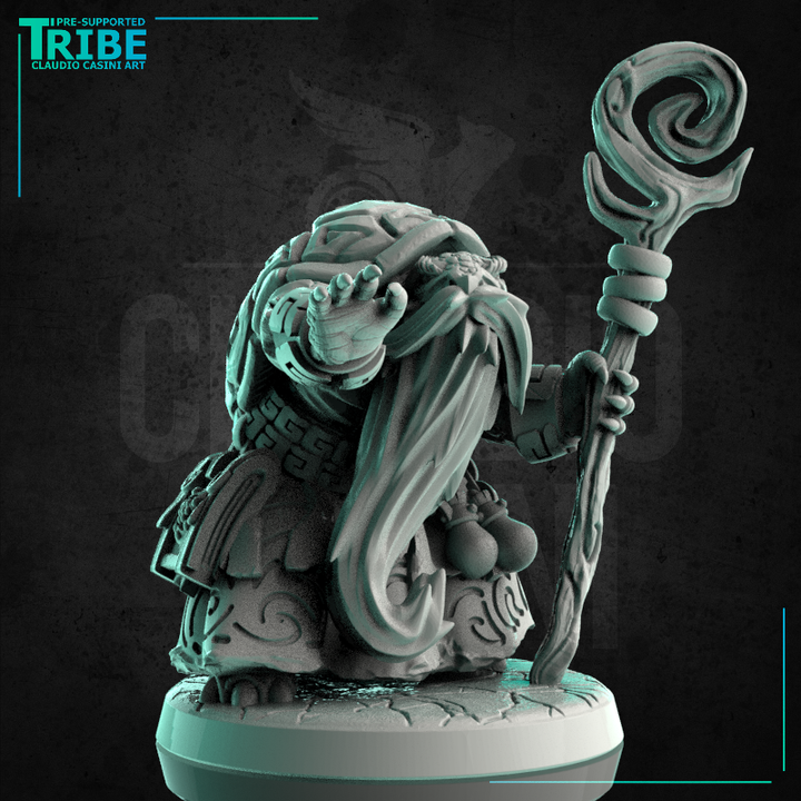 3D Printable (0231) Male turtle folk summoner wizard druid with a magic ...