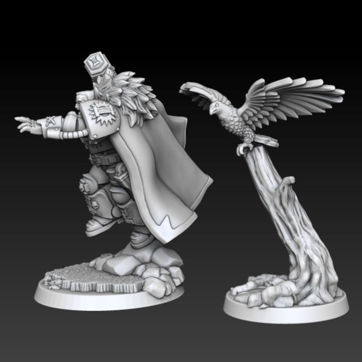 3D Printable Inquisitor Cortez in Heavy Armor (presupported) by Chad ...