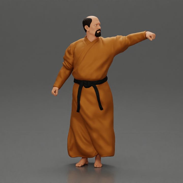 3D Printable kung fu master performing kung fu moves by 3DGeschaft ...