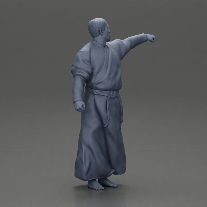 3D Printable kung fu master performing kung fu moves by 3DGeschaft ...