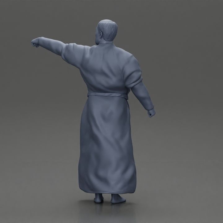 3D Printable kung fu master performing kung fu moves by 3DGeschaft ...