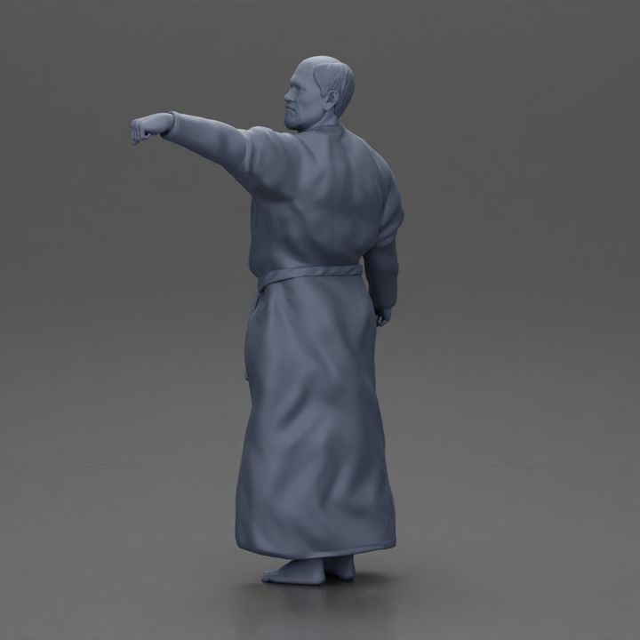 3D Printable kung fu master performing kung fu moves by 3DGeschaft ...