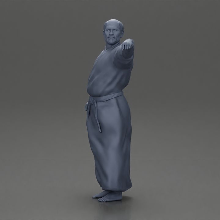 3D Printable kung fu master performing kung fu moves by 3DGeschaft ...