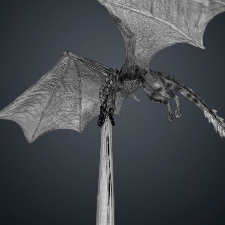 3D Printable Flying Dragon Book Nook by 3Demon