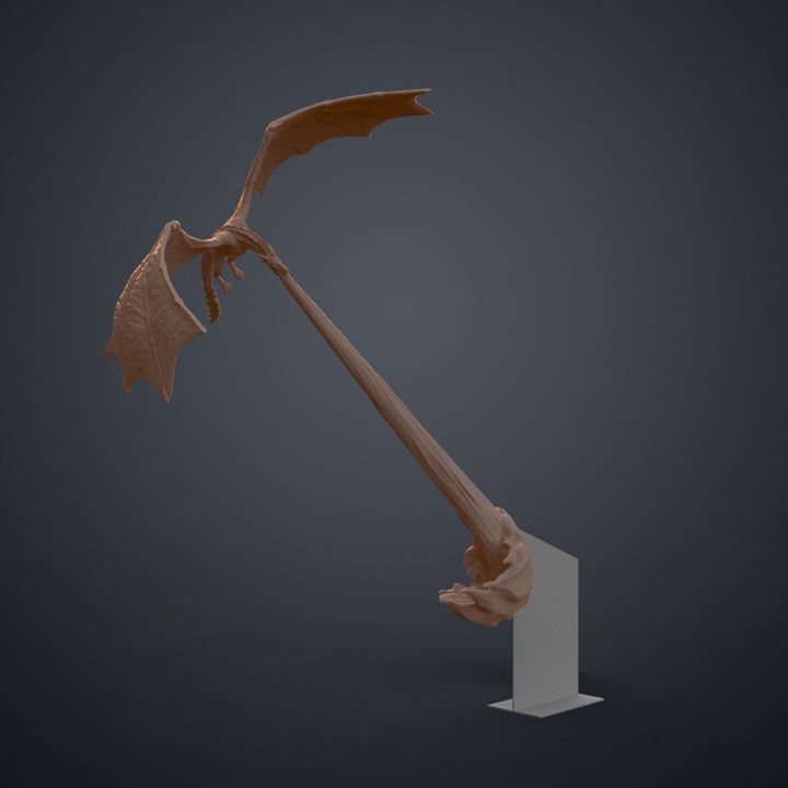 3D Printable Flying Dragon Book Nook by 3Demon