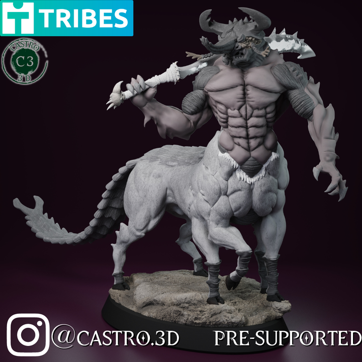 3D Printable Centauride - Tabletop creature mini by Castro3D