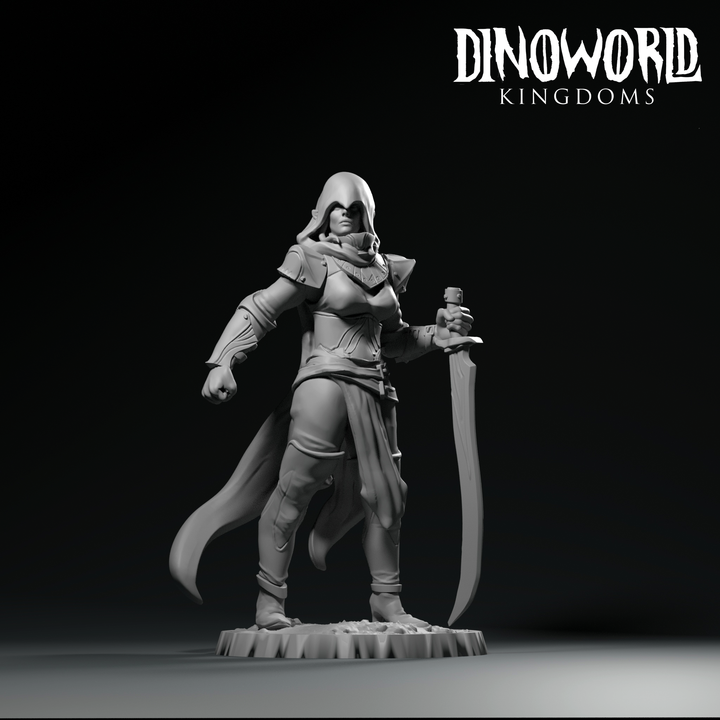 3D Printable Elf swordmaster by Dinoworld