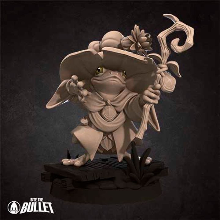 3D Printable Frogfolk Wizard by Bite the Bullet
