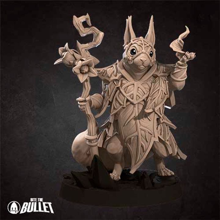 3D Printable Squirrelfolk Sorceress by Bite the Bullet