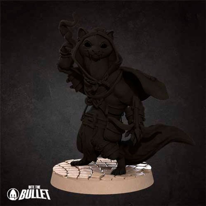 3D Printable Ferretfolk Rogue (2 Versions) by Bite the Bullet