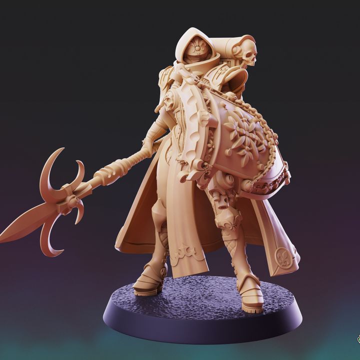 3D Printable Divine Order - Shieldmaiden Bundle + Pinups by PSMiniatures